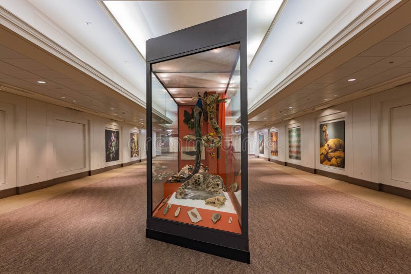 Interior View of the Field Museum Editorial Stock Image - Image of ...