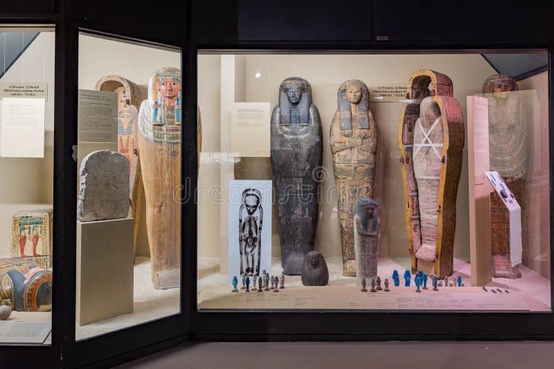 Interior View of the Field Museum Editorial Stock Photo - Image of ...