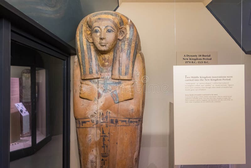 Interior View of the Field Museum Editorial Stock Image - Image of 2023 ...