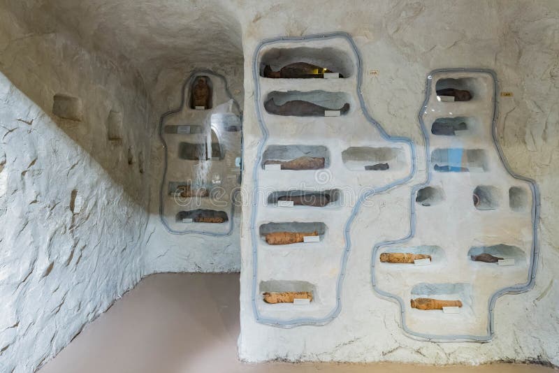 Interior View of the Field Museum Editorial Stock Photo - Image of ...