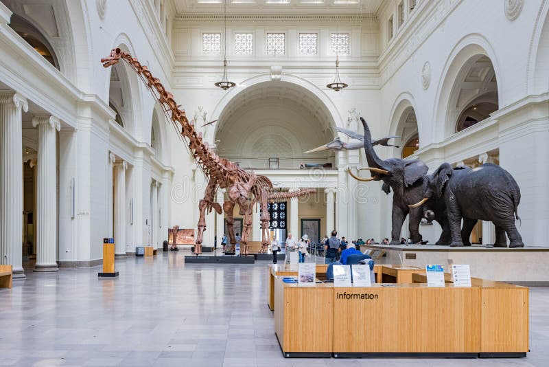 Interior View of the Field Museum Editorial Photography - Image of ...