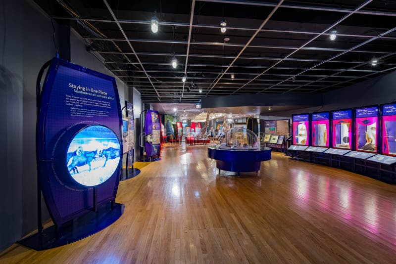 Interior View of the Field Museum Editorial Photography - Image of ...