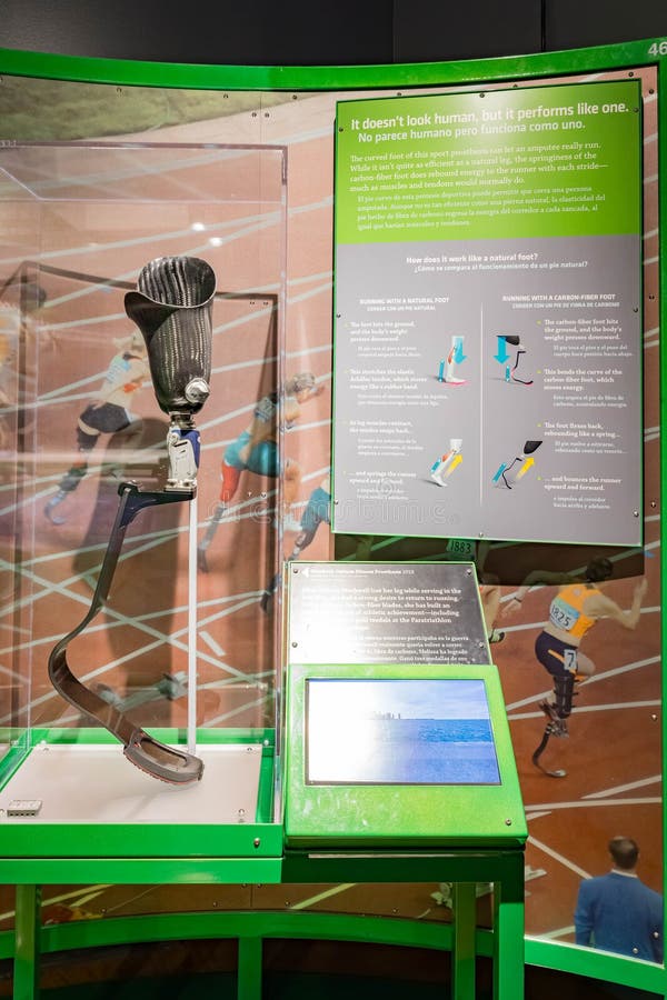 Interior View of the Field Museum Editorial Stock Photo - Image of ...