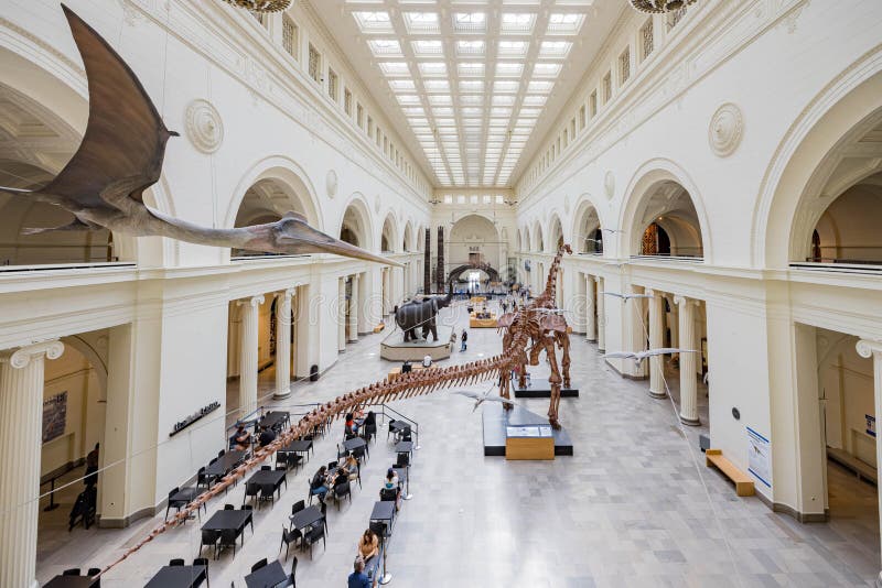 Interior View of the Field Museum Editorial Photo - Image of people ...