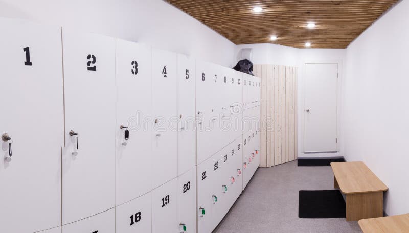 Interior View of a Gym with Equipment. Stock Image - Image of activity ...