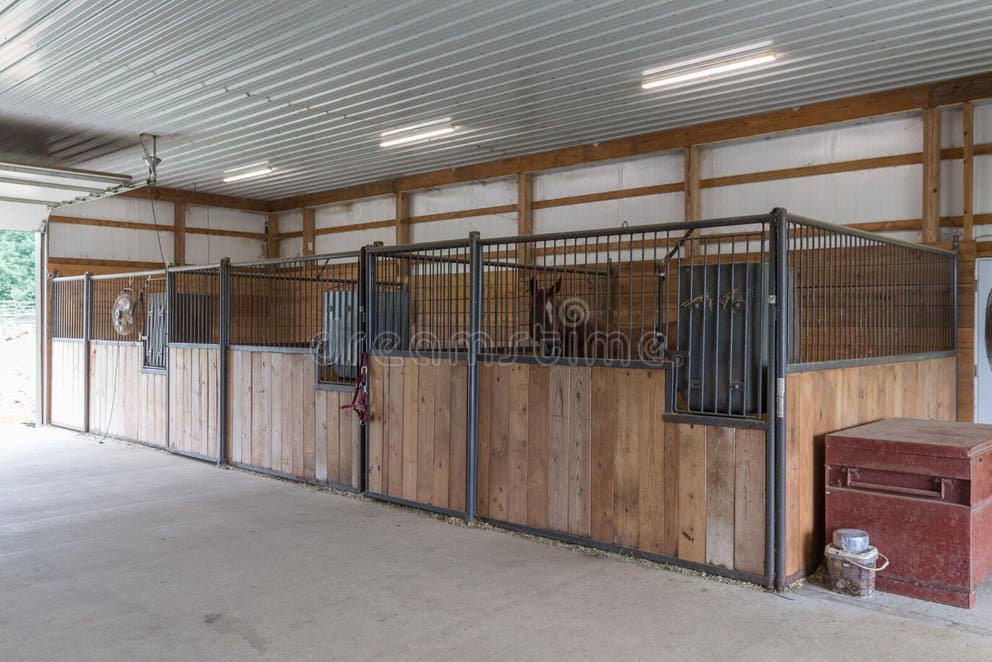 Interior View of Horse Stable with Paddocks Editorial Stock Image ...