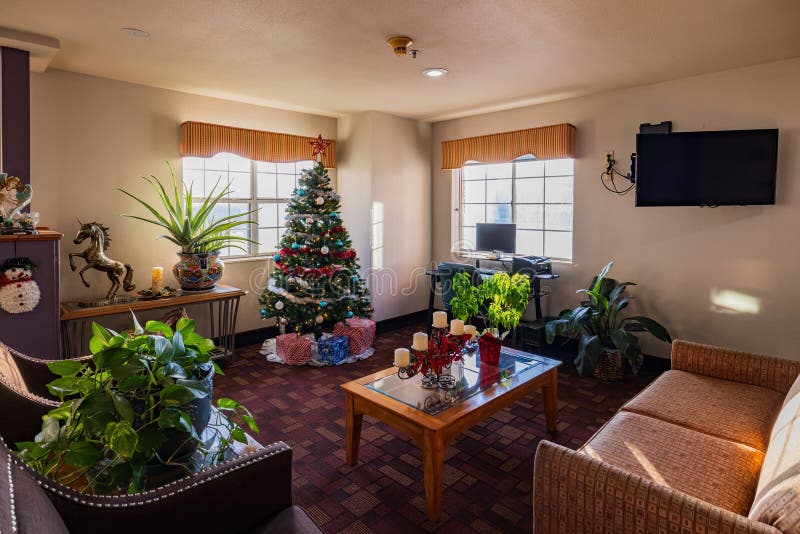Interior View of a Hotel Room with Christmas Tree Decoration Stock ...
