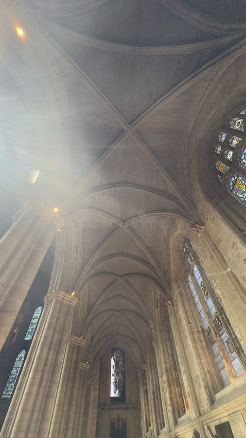 194 Cathedral Interior Columns Vaulted Ceiling Stained Glass Stock ...