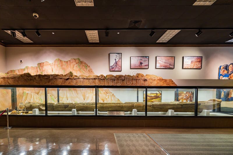 Interior View of the Louisiana State Exhibit Museum Editorial Stock ...