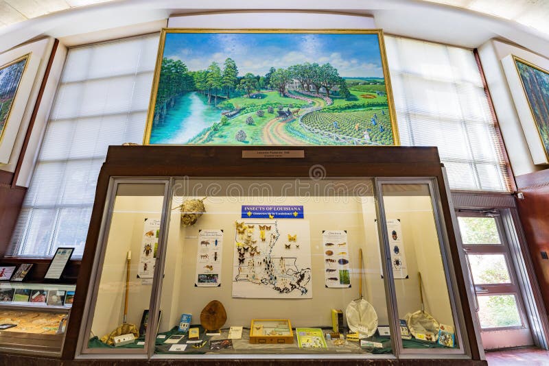 Interior View of the Louisiana State Exhibit Museum Editorial Stock ...