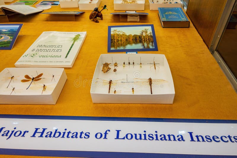 Interior View of the Louisiana State Exhibit Museum Editorial Photo ...