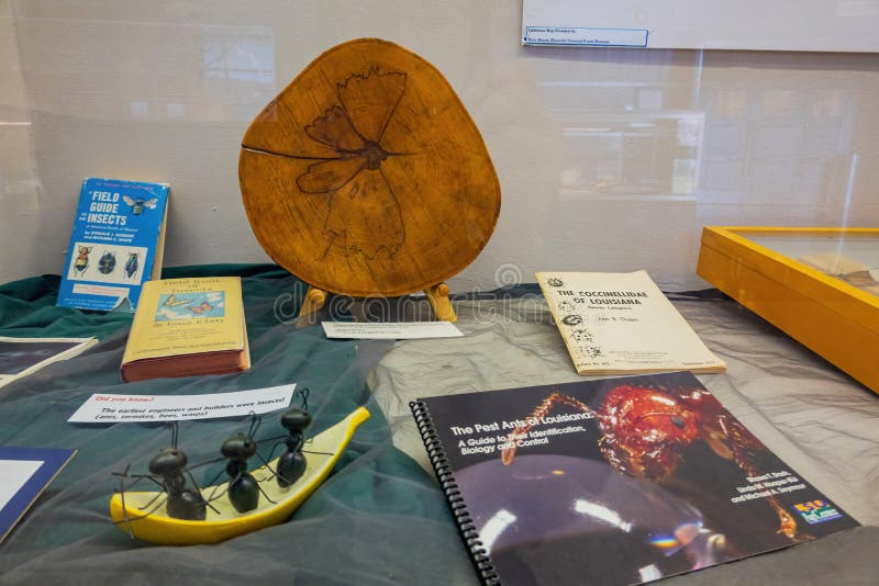 Interior View of the Louisiana State Exhibit Museum Editorial Image ...