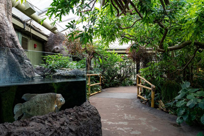 Interior View of the Malayan Woods Pavilion at the Toronto Zoo Stock ...
