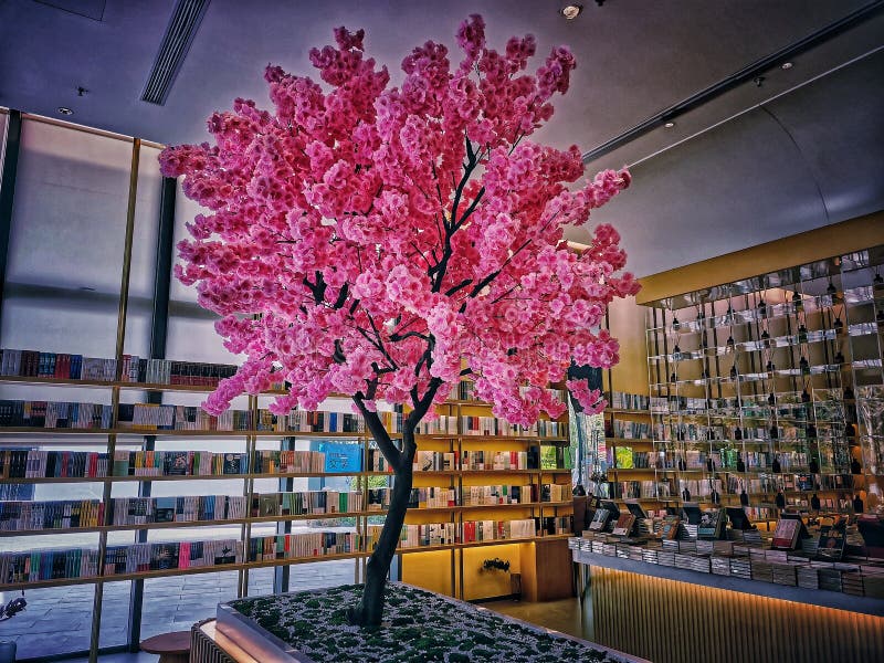 Interior View of Modern Book Store in Wuhan City Editorial Photo ...