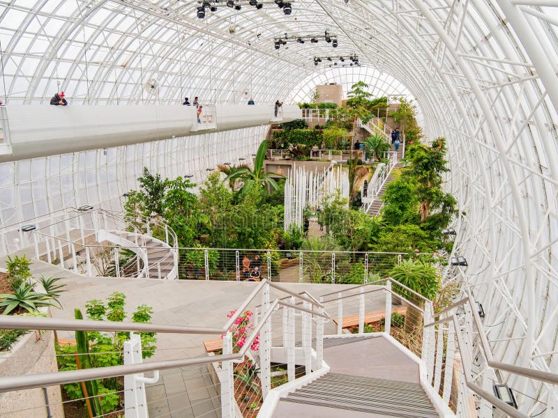 Interior View of the Myriad Botanical Gardens Editorial Photography ...