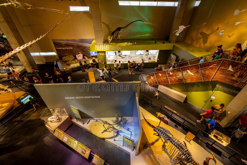 Interior View of the Perot Museum of Nature and Science Editorial Stock ...