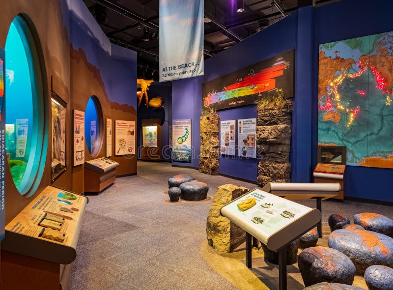 Interior View of the Sam Noble Oklahoma Museum of Natural History ...