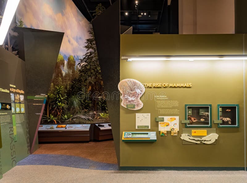 Interior View of the Sam Noble Oklahoma Museum of Natural History ...