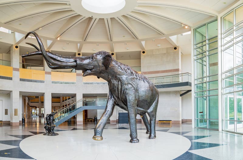 Interior View of the Sam Noble Oklahoma Museum of Natural History ...
