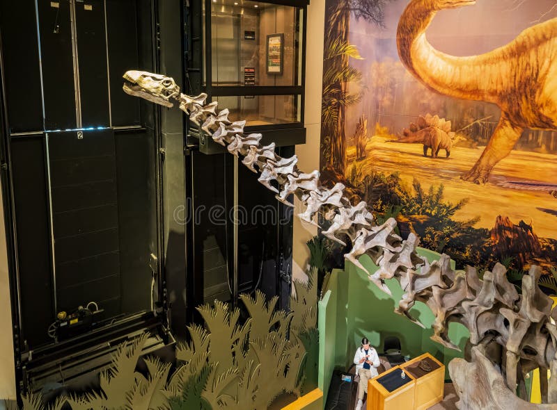 Interior View of the Sam Noble Oklahoma Museum of Natural History ...