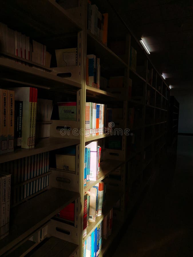 Interior View of School Library in Wuhan City Editorial Stock Photo ...