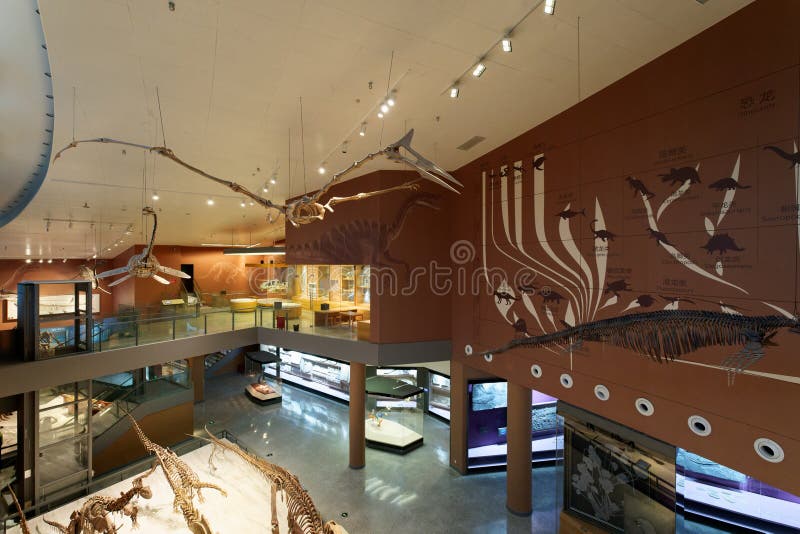 Interior View of Shanghai Natural History Museum Editorial Stock Photo ...