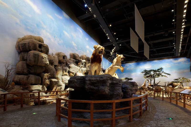 Interior View of Shanghai Natural History Museum Editorial Photography ...