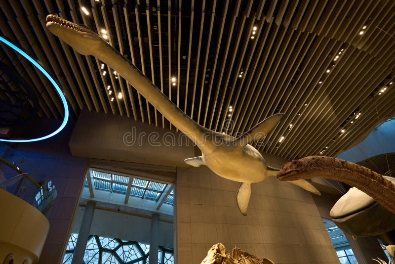 Interior View of Shanghai Natural History Museum Editorial Stock Photo ...