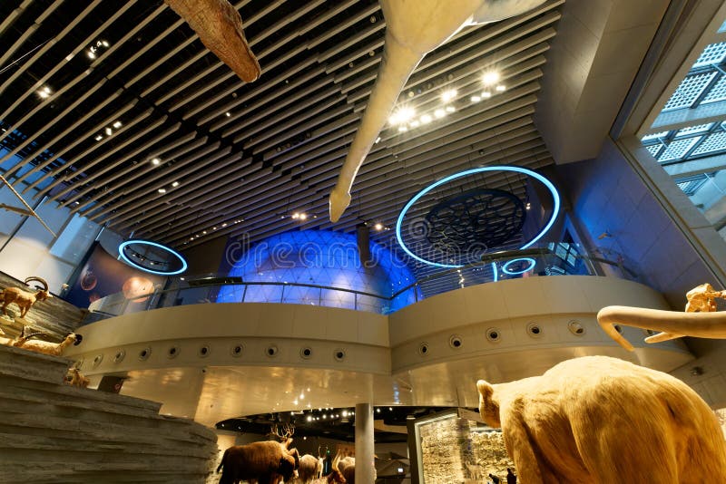 Interior View of Shanghai Natural History Museum Editorial Stock Image ...