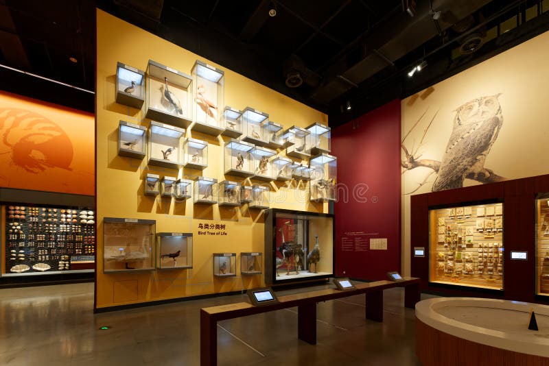 Interior View of Shanghai Natural History Museum Editorial Photo ...