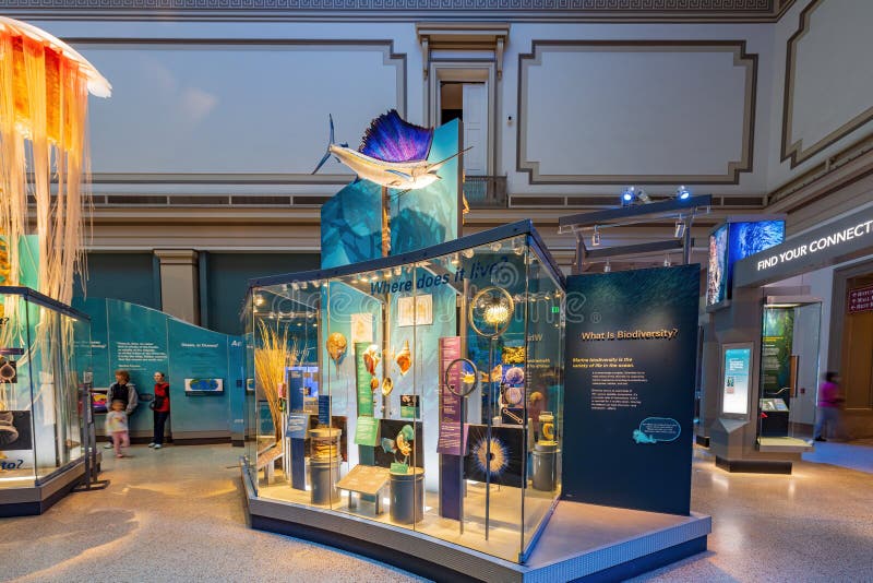 Interior View of the Smithsonian National Museum of Natural History ...