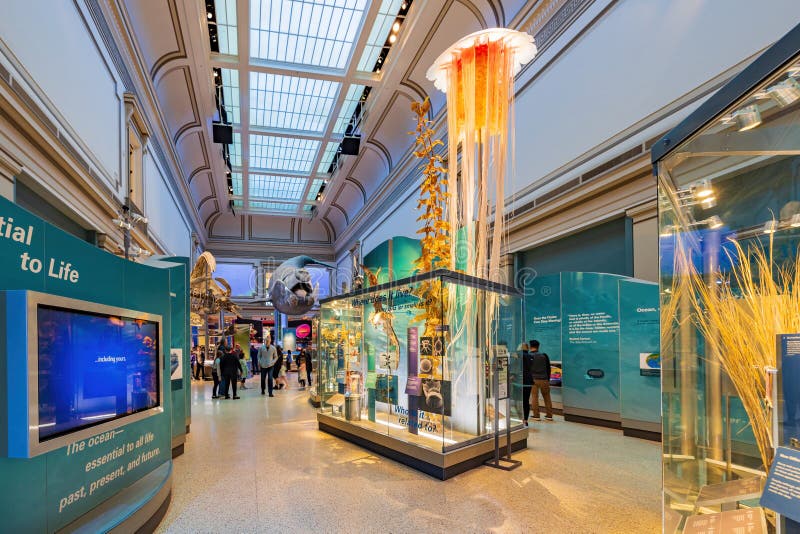Interior View of the Smithsonian National Museum of Natural History ...