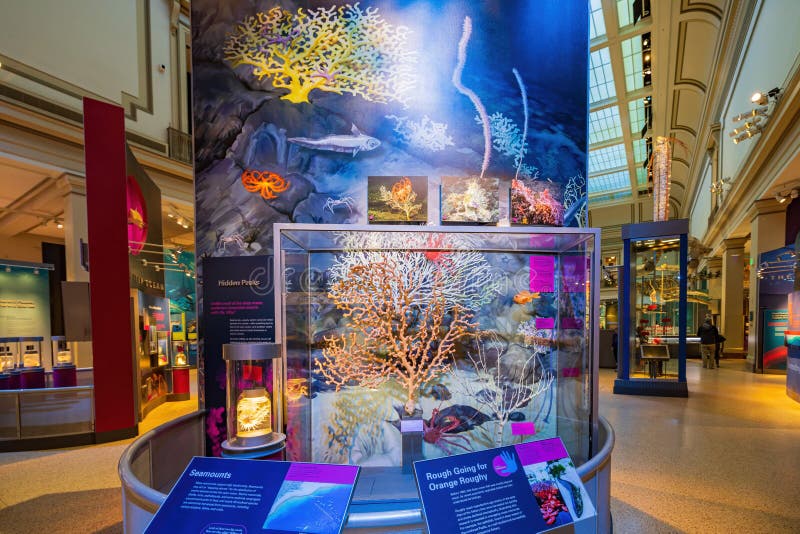 Interior View of the Smithsonian National Museum of Natural History ...