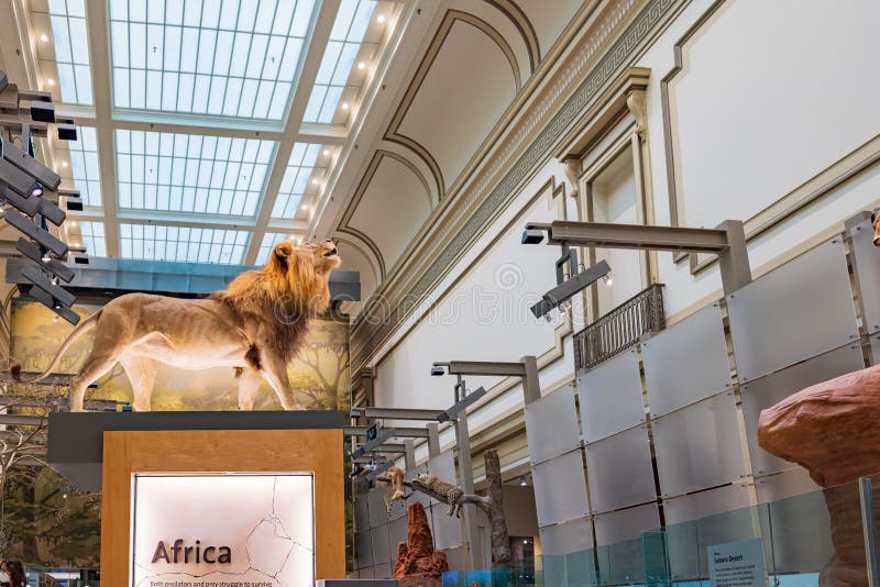 Interior View of the Smithsonian National Museum of Natural History ...