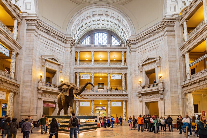 Interior View of the Smithsonian National Museum of Natural History ...