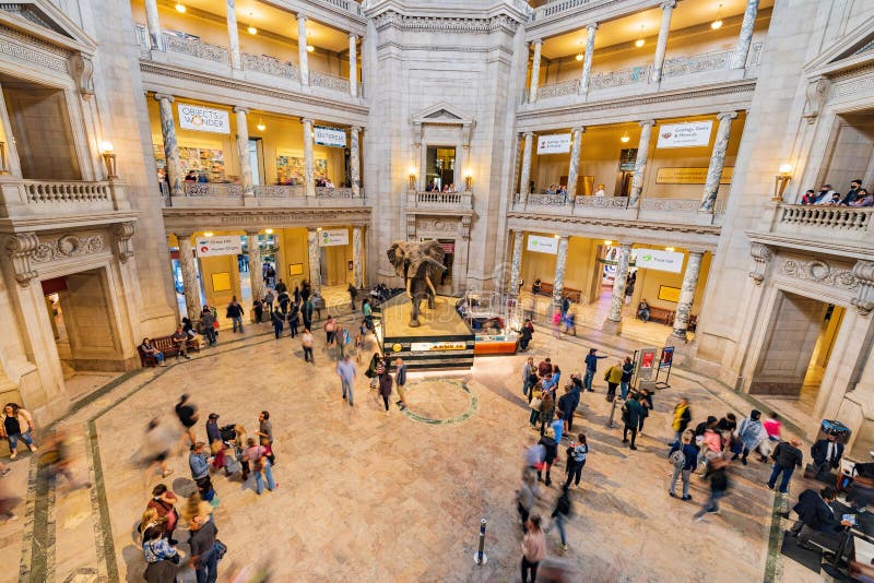 Interior View of the Smithsonian National Museum of Natural History ...