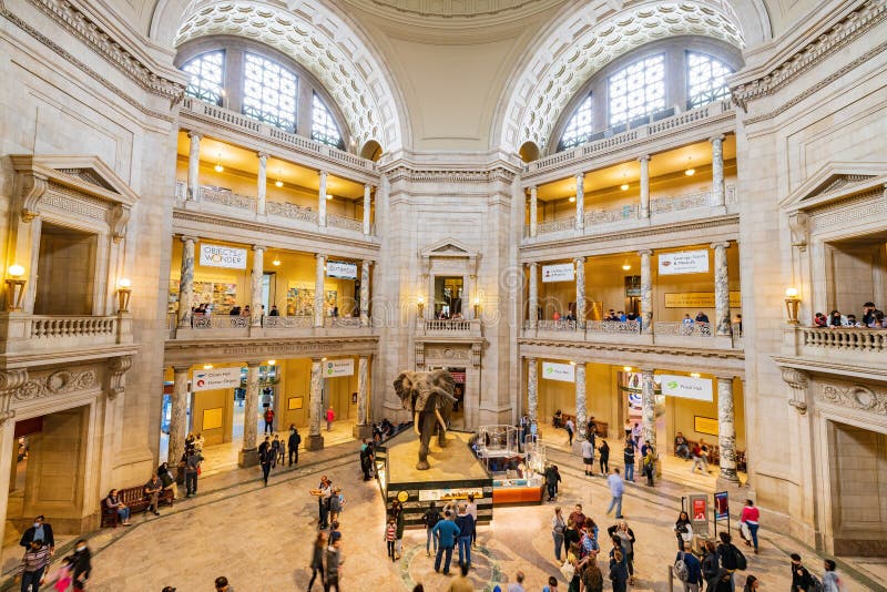 Interior View of the Smithsonian National Museum of Natural History ...