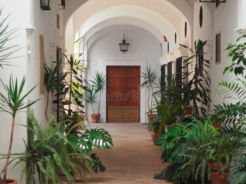 Interior View of Typical Andalusian Patio with Plants in Seville Stock ...