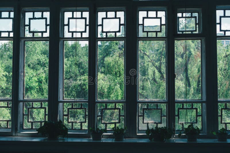 Interior View of Windows with Multiple Frames and Plants on Windowsill ...