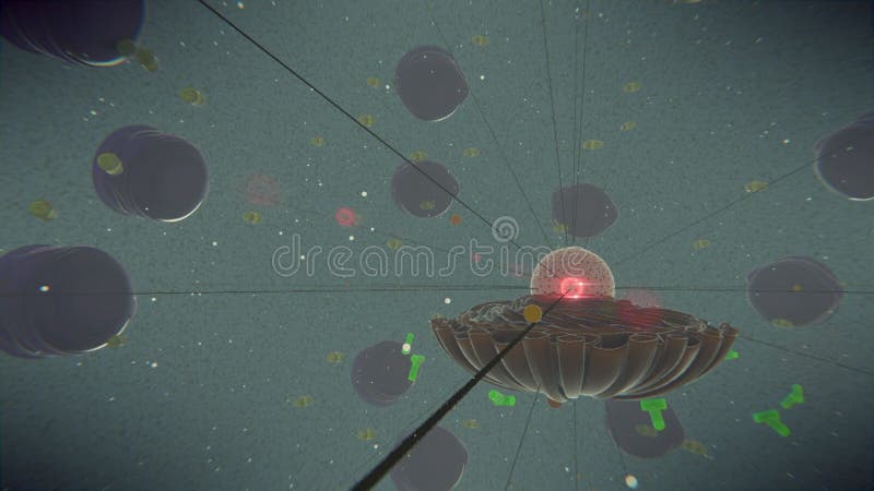 Interior Visualization of an Eukaryotic Cell with Cutaway View of ...