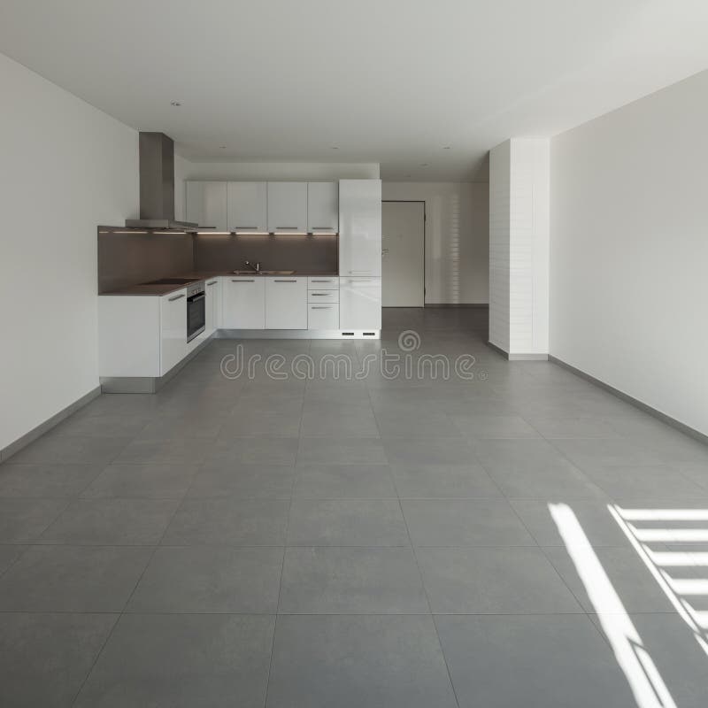 Interior, Wide Room with Kitchen Stock Image - Image of floor, living ...