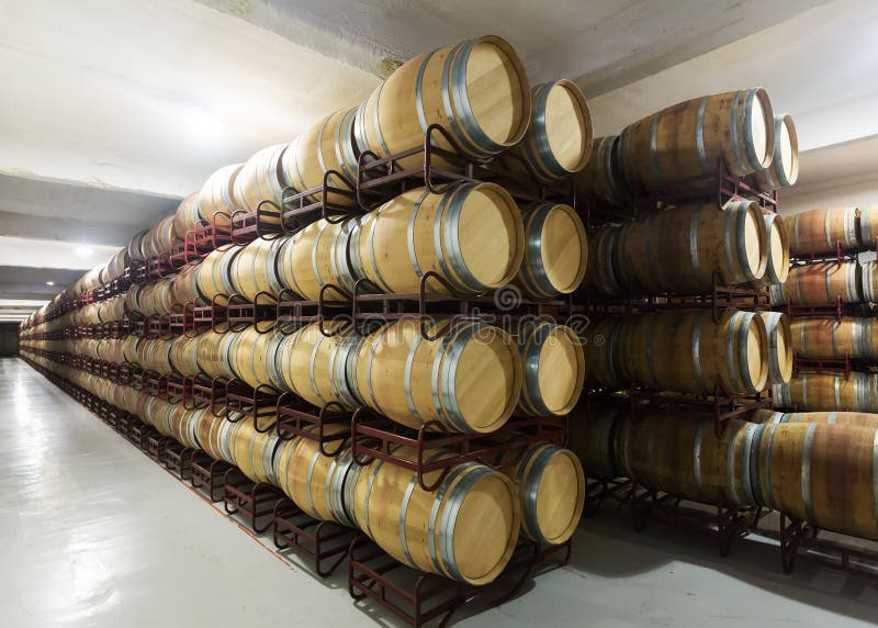 Interior of winery factory stock photo. Image of vino - 221040612