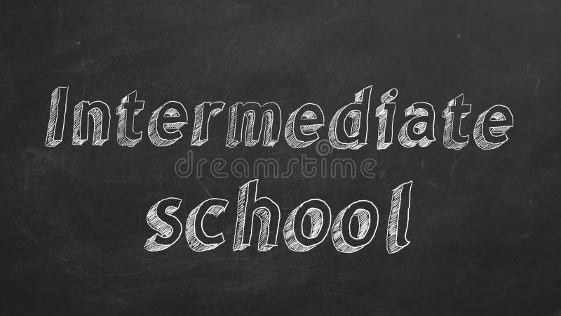 Intermediate school stock video. Video of knowledge - 291608571