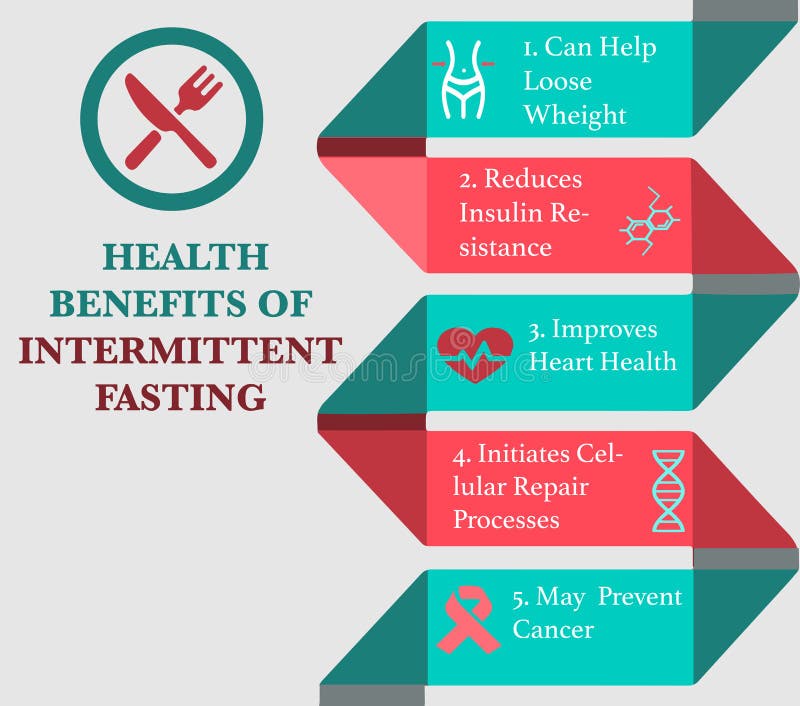 Intermittent Fasting Infographic. Stock Vector - Illustration of drawn ...