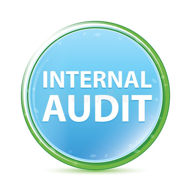 Internal Audit Eyeball Blue Round Button Stock Illustration ...