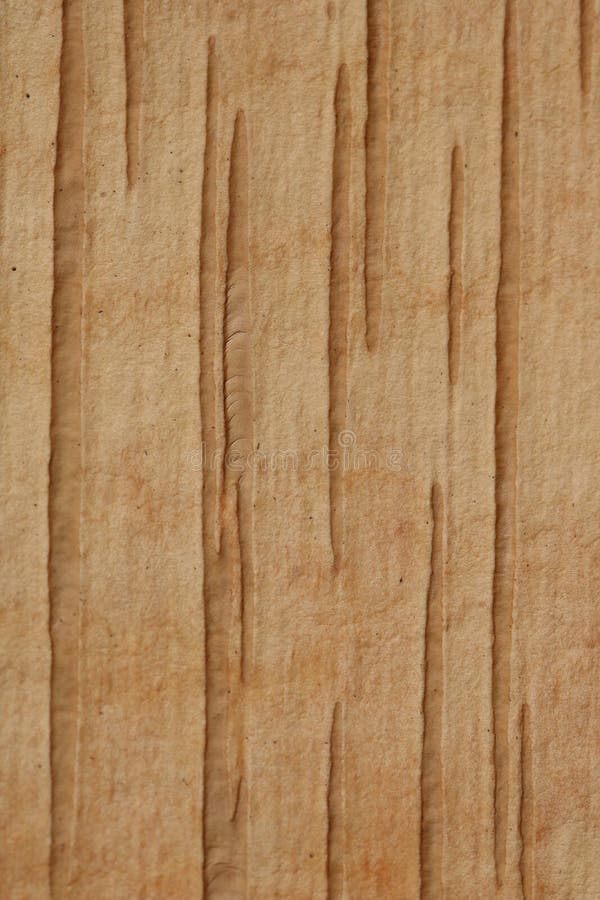 Internal Brown Striped Structure of a Birchen Bark Background, Copy ...
