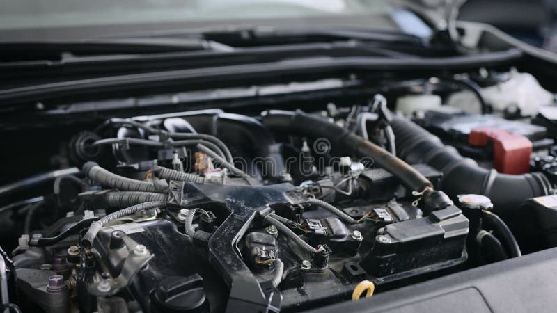 Internal Combustion Engine, Under the Hood. Service Car Stock Video ...