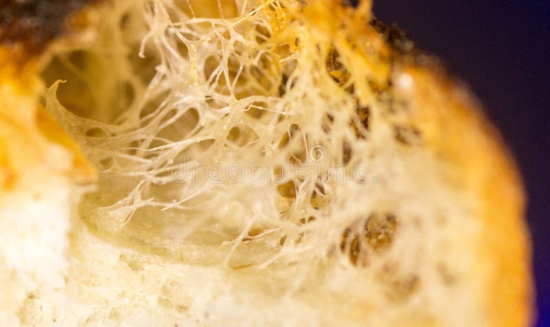 Internal Crust stock image. Image of isolated, internal - 121365609