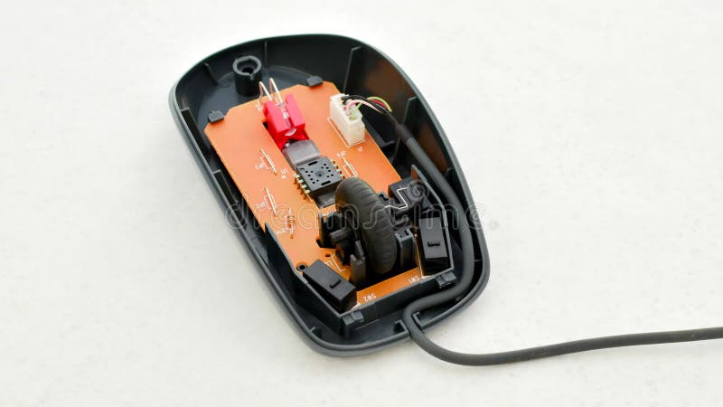 Opened Mouse, Revealing Its Intricate Internal Engineering, Perfect for ...
