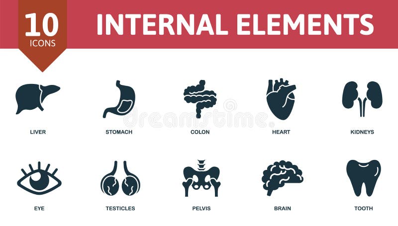 Internal Elements Icon Set. Contains Editable Icons Internal Organs ...